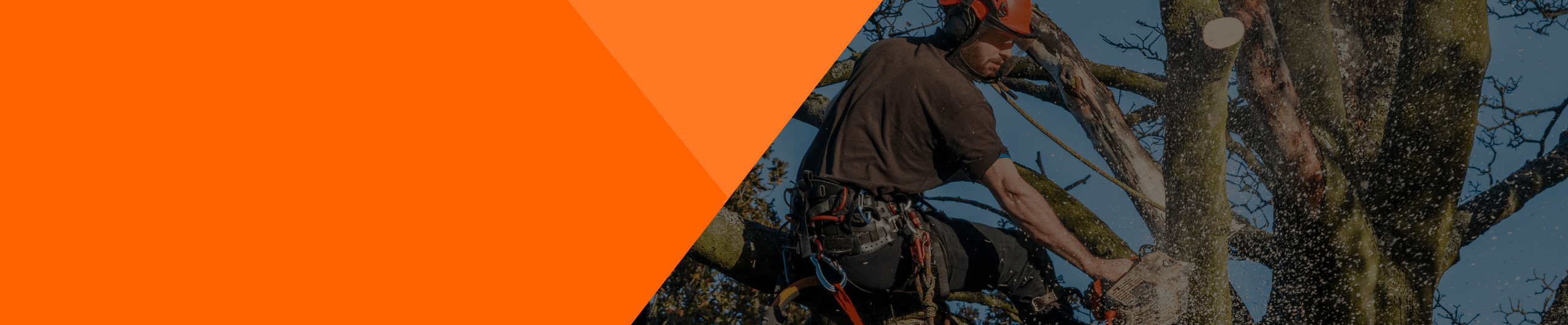 Essex Tree Brothers | FSE Digital